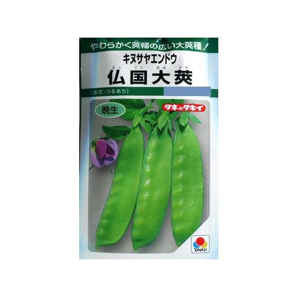 晩生★やわらかく莢幅の広い大莢種