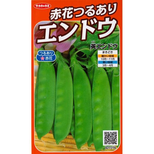 ★中莢で曲りが少なく、たくさんとれる