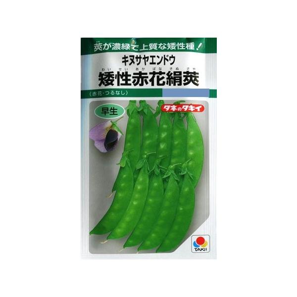 ★莢が濃緑で上質な早生矮性種