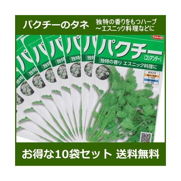 10袋セット★独特の香りをもつハーブ〜エスニック料理などに