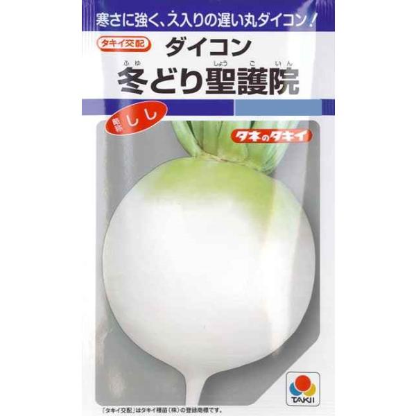 ★寒さに強く、ス入りの遅い丸ダイコン！