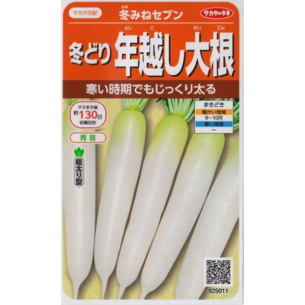 ★寒い時期でもじっくり太る!秋まき越冬ダイコン