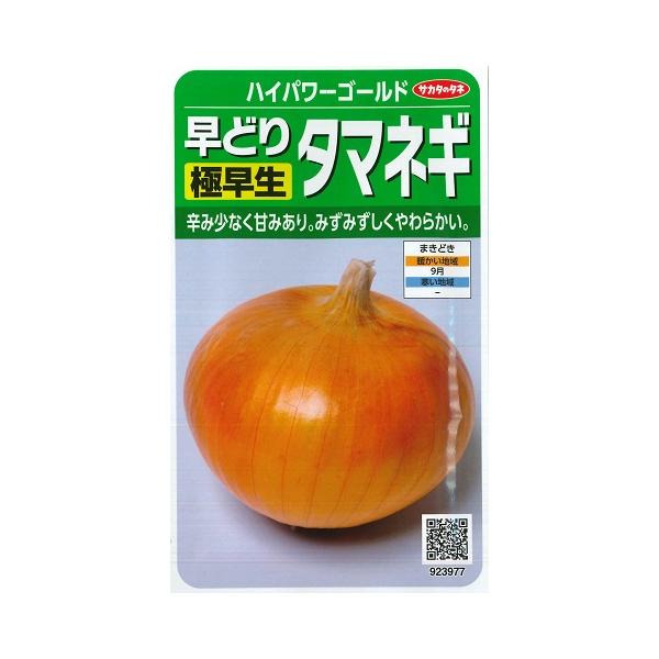 ★辛み少なく甘みあり。みずみずしくやまらかい