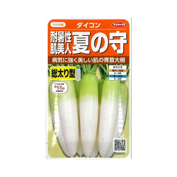 ★美しい肌が特長！夏秋どり青首総太り大根