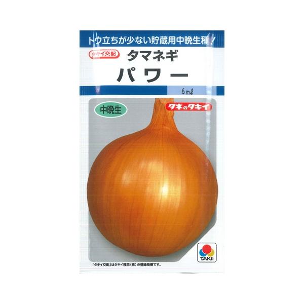 トウ立ちが少ない貯蔵用中晩生種。2月まで吊り貯蔵