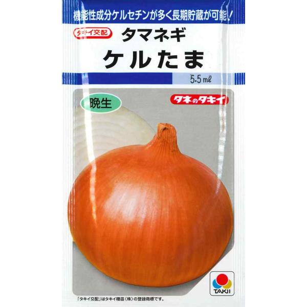 【晩生】機能性成分ケルセチンが多く長期貯蔵が可能