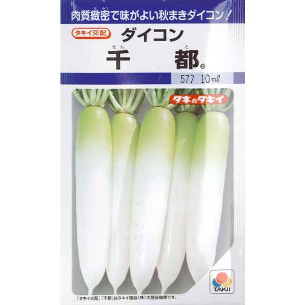 ★肉質緻密で味がよい秋まきダイコン！