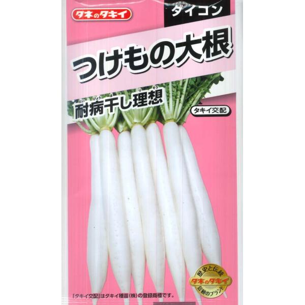 ★病気に強い干したくあん・生漬け兼用種！