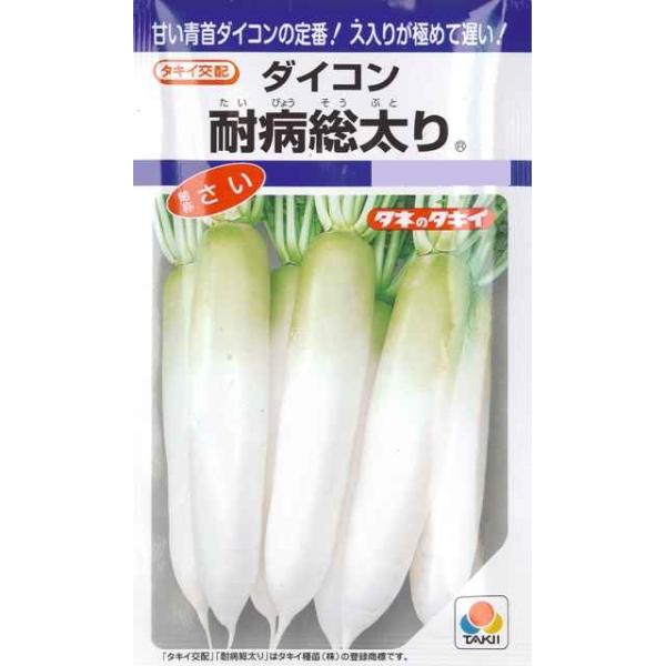 当店一番人気！甘い青首ダイコンの定番！ス入りが極めて遅い！