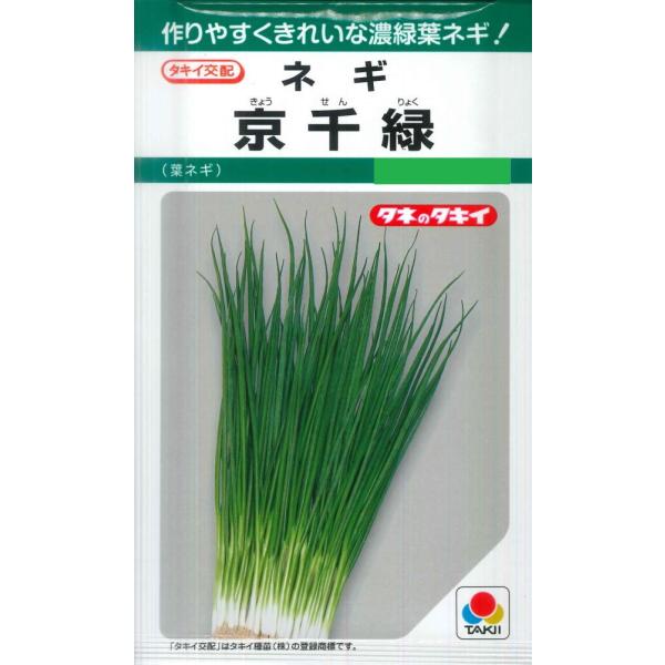 ★作りやすくきれいな濃緑葉ネギ！