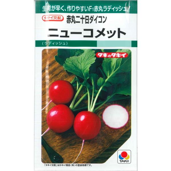 作りやすいF1赤丸ラディッシュ！家庭菜園向き