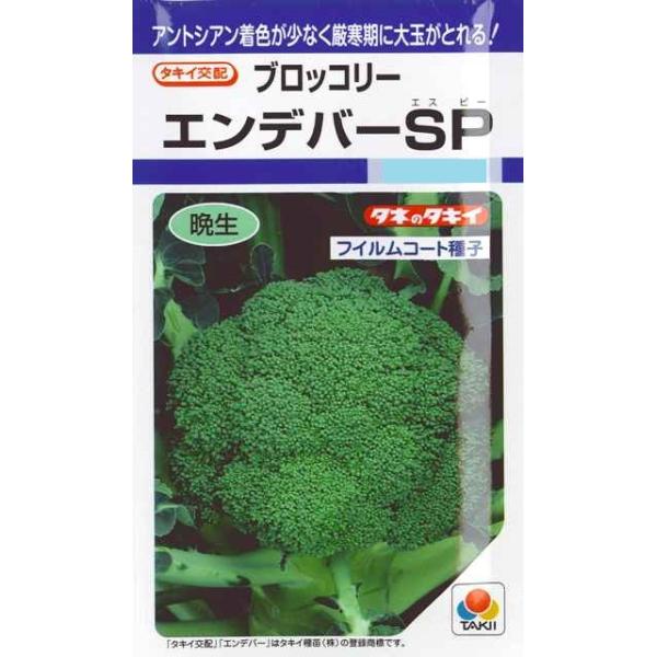 晩生★アントシアン着色が少なく厳寒期に大玉がとれる