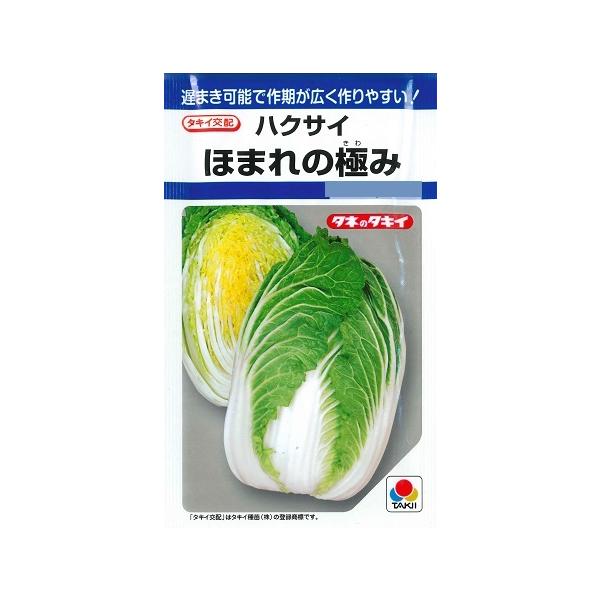遅まき可能で根こぶ病とべと病に強く作りやすい黄芯