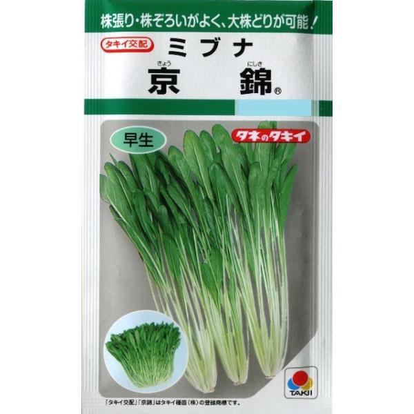 ★株張り・株ぞろいがよく、大株どりが可能