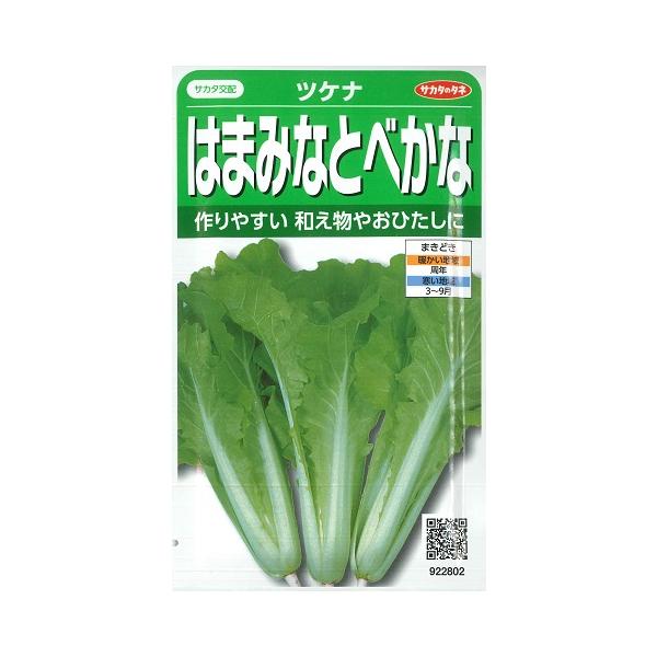 ★作りやすくてクセのない風味の家庭菜園向き野菜