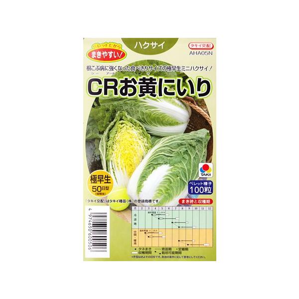 ★【50日型】根こぶ病に強くなった球重600ｇのミニ ハクサイ!~