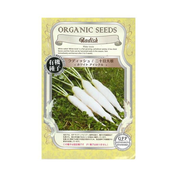 オフホワイトがきれいな二十日大根