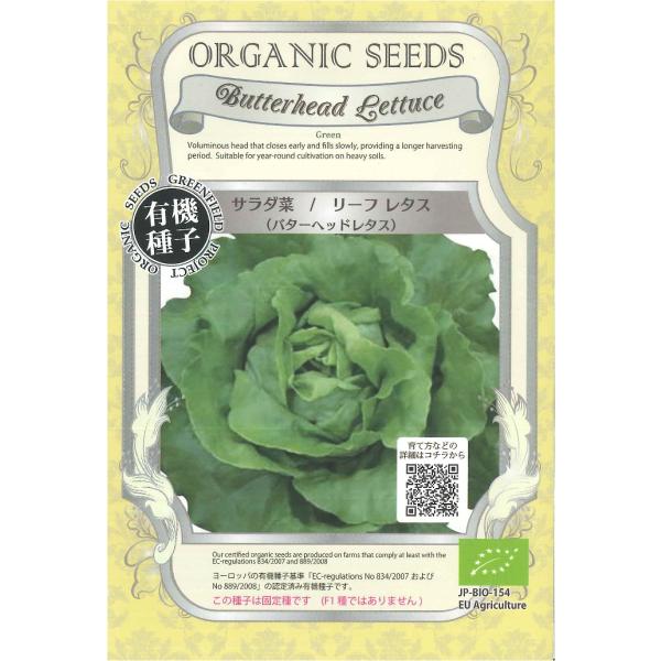 結球が早く外葉がゆっくり覆っていく、収穫期間が長いサラダ菜