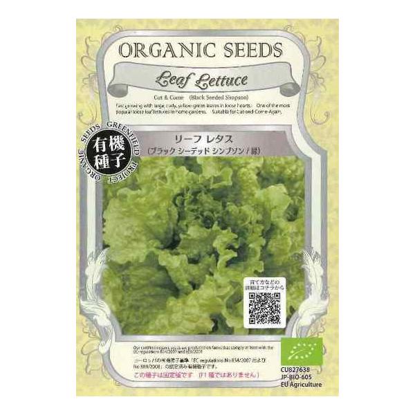 黒い種が珍しいことで有名なリーフレタス（非結球）