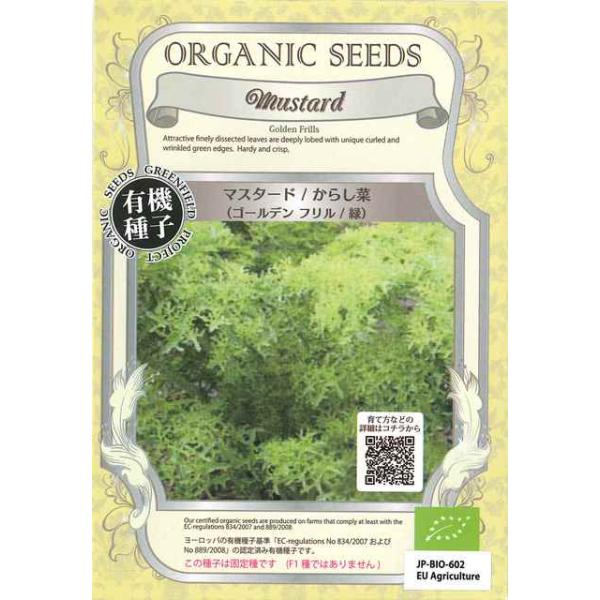 春から秋までまけ緑色のフリル葉がユニーク！