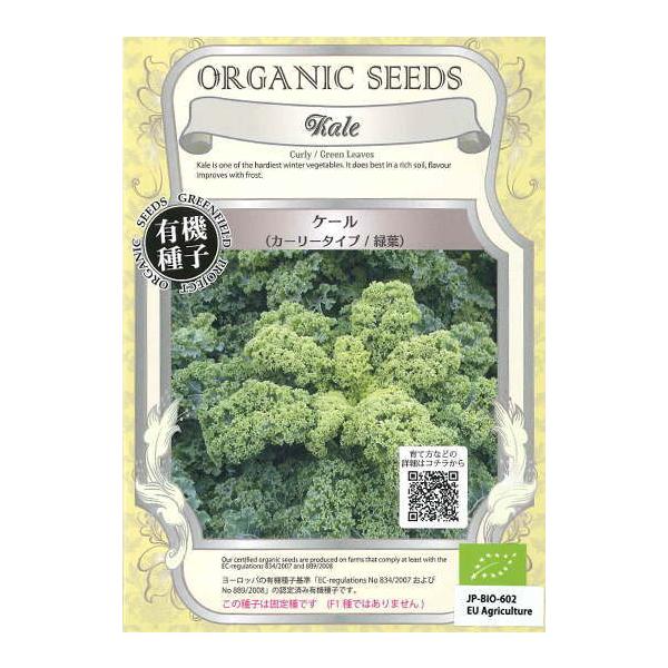 青汁に使用される不結球キャベツ