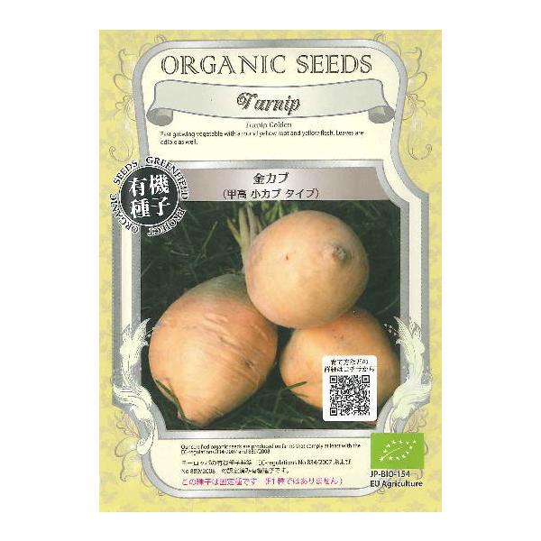 黄金色（肉色も黄金色）の小カブ