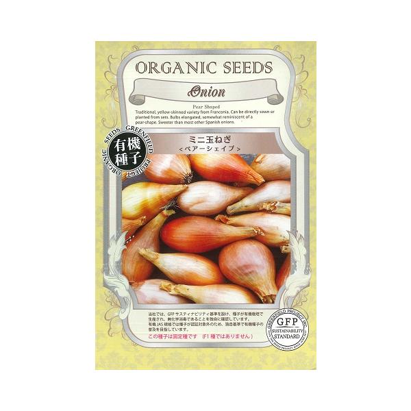 小さなドイツ在来のミニ玉ねぎ