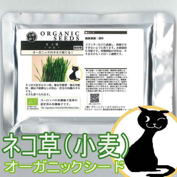 猫が大好きなネコ草をオーガニックで育てる！
