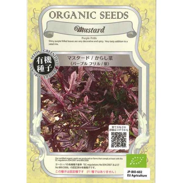 春秋両まきで光沢のある紫色のフリル葉がユニーク！