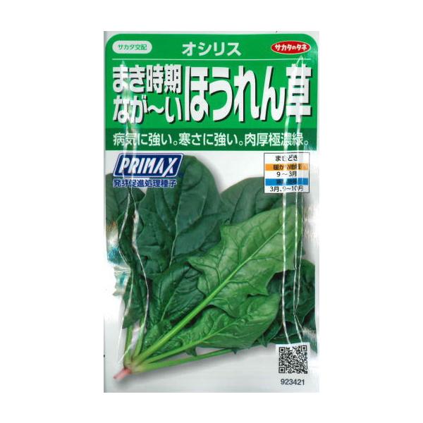 ★病気に強く寒さに強い。肉厚極濃緑。
