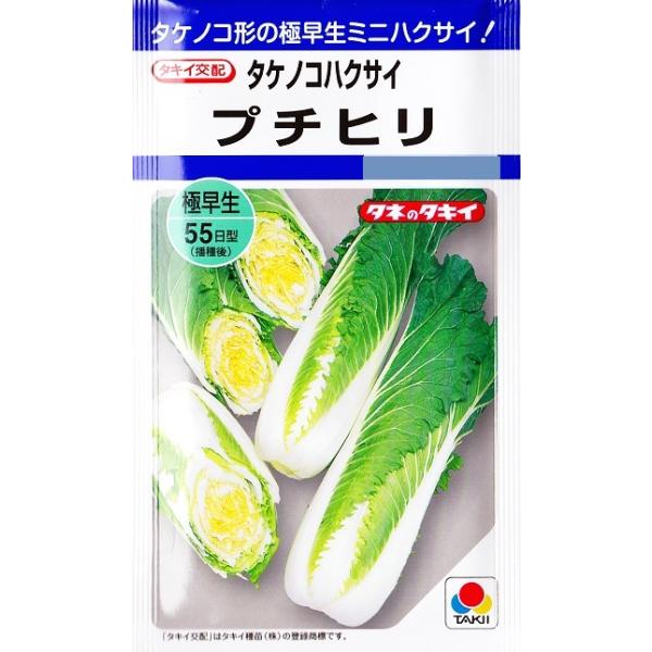 【極早生55日型】800g程度で収穫できるタケノコ形ミニハクサイ