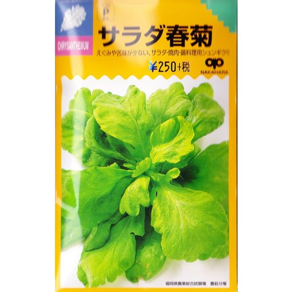 10％OFF★えぐみや苦味が少なく柔らかい、生食に最適！