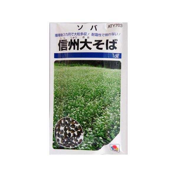 ★播種後３ヶ月で大粒多収！耐霜性で倒れない！