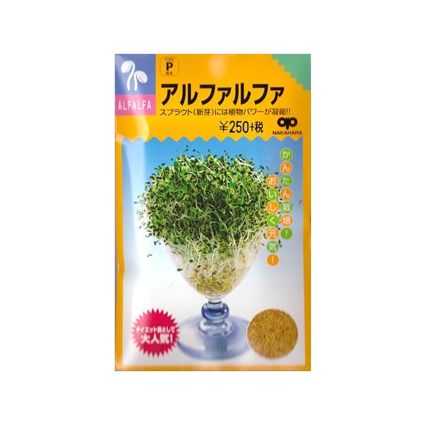 【スプラウト】アルファルファ【中原採種場】（40ml）野菜種[周年まき]