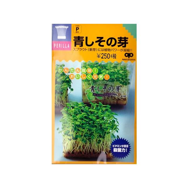 10％OFF★場所をとらず簡単に作れるビタミンたっぷり健康野菜