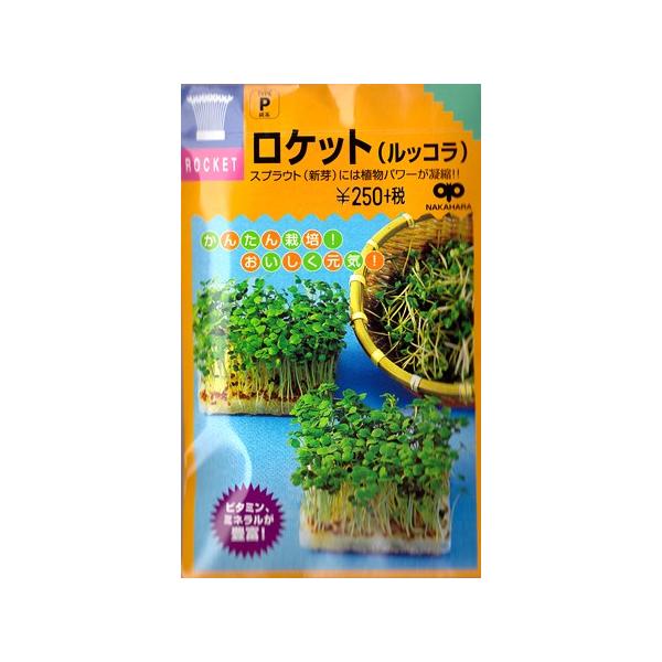 【スプラウトの種】ロケット（ルッコラ）【中原採種場】（35ml）野菜種