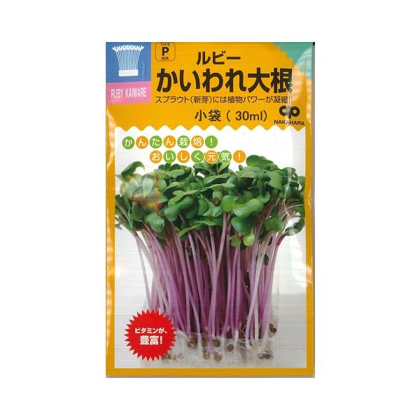 10％OFF★ビタミンが豊富！スプラウトには植物パワーが凝縮！