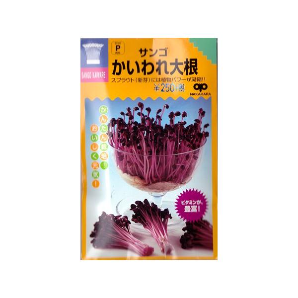 10％OFF★ビタミンが豊富！スプラウトには植物パワーが凝縮