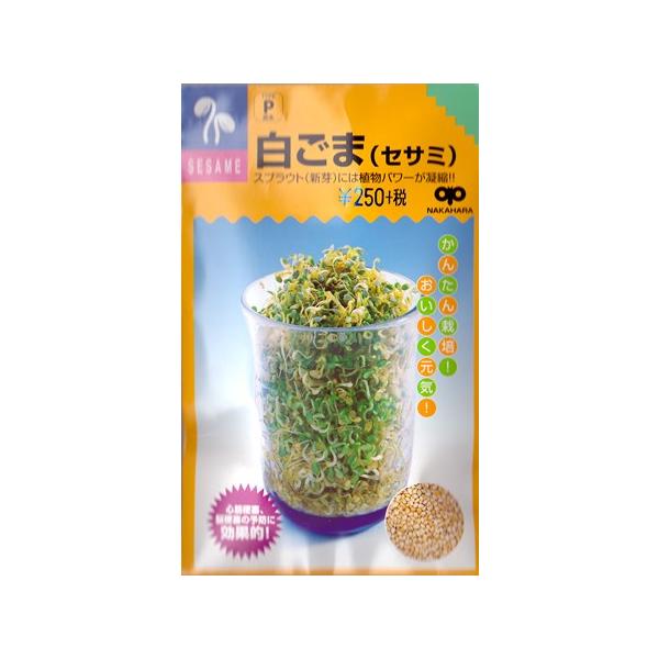 【スプラウトの種】白ごま（セサミ）【中原採種場】（40ml）野菜種