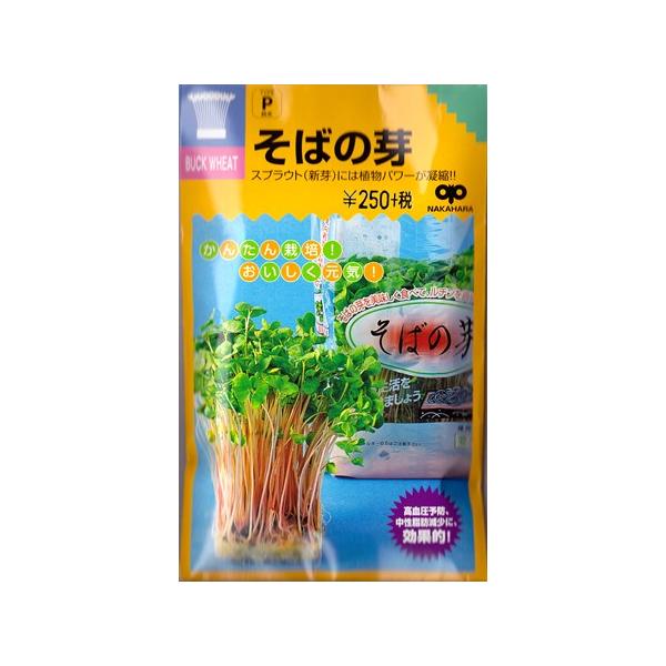 10％OFF★中性脂肪減少に効果的！
