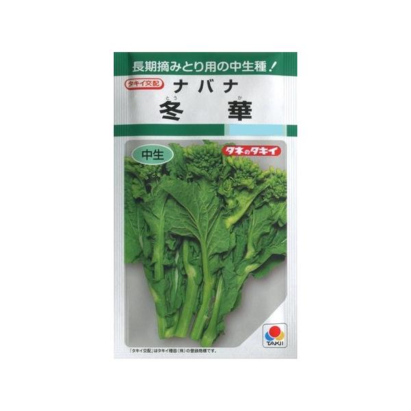【ナバナ】冬華【タキイ交配】（6ml）野菜種[秋まき]