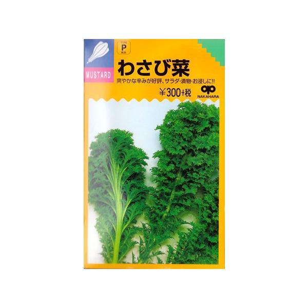 ★爽やかな辛みが好評