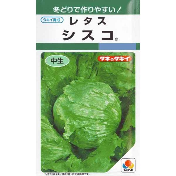 ★【中生】冬どりでつくりやすい！