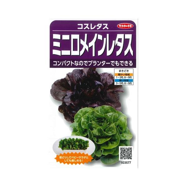 ★コンパクトなのでプランターでもできる