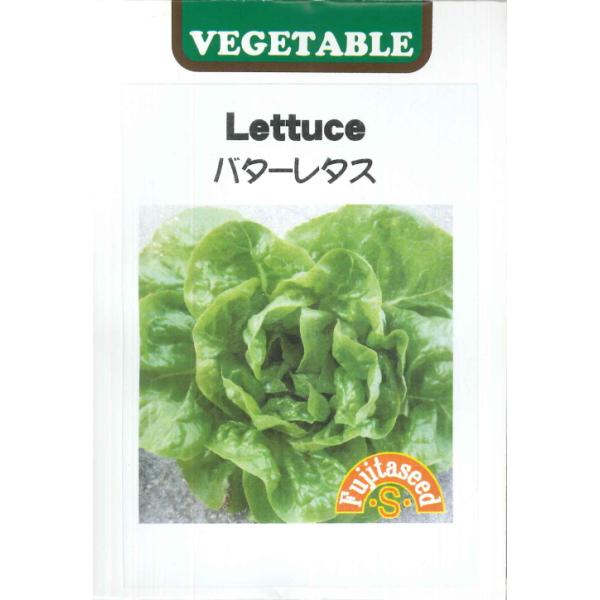 ★食味に優れ厚葉で歯切れの良いニュータイプのサラダ菜