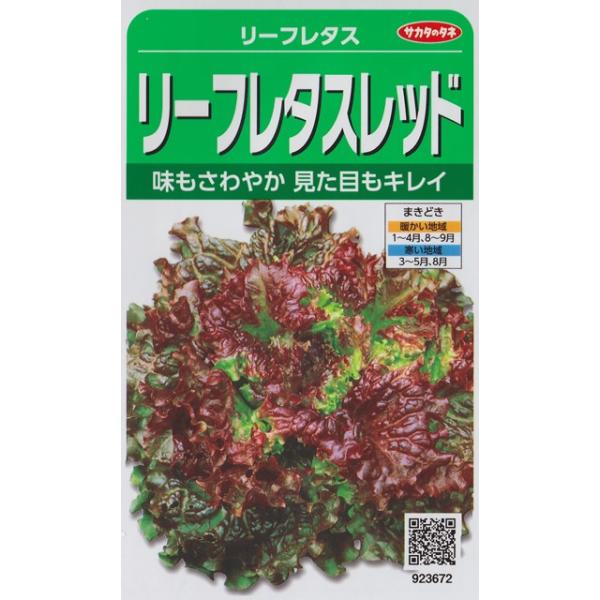★ビタミンAが豊富な赤ちりめんチシャ