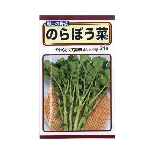 郷土の野菜★やわらくて美味しい、とう菜