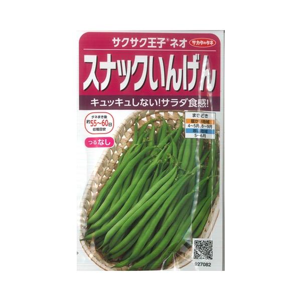 キュキュしない！サラダ食感