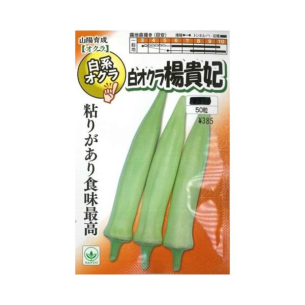 ★山口県オリジナル白系野菜オクラ