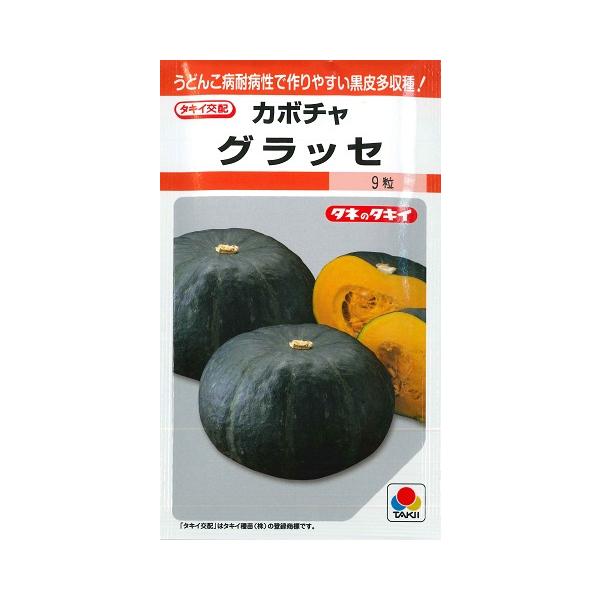 ★うどんこ病耐病性でつくりやすい